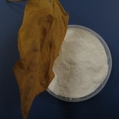 China White Powdered 96.5% Min Sodium Tripolyphosphate TSPP 7722-88-5 for sale