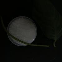 China CAS 7320 34 5 Anhydrous Tetrapotassium Pyrophosphate TKPP For Buffering Reagent for sale