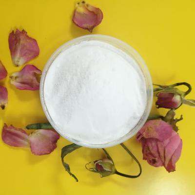 China Anhydrous 98% Min Disodium Phosphate DSP Powder Na2HPO4 CAS 231-448-7 for sale