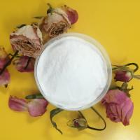 China Anhydrous 98% Min Disodium Phosphate DSP Powder Na2HPO4 CAS 231-448-7 for sale