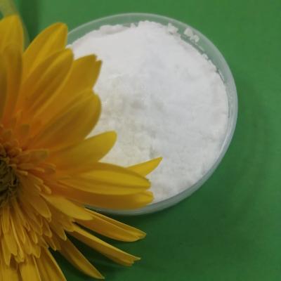 China Sodium Tripolyphosphate STPP 94% in Ceramic Degumming Agent Cas 7758-29-4 for sale