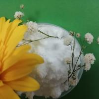 China Tech Grade MAP Monoammonium Phosphate Fertilizer White Granular CAS 7722-76-1 for sale
