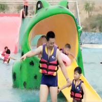 China Children Small Frog Water Slide For Indoor Water Playgrounds for sale