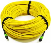 China MPO / APC Fiber Optic Trunk Cable 24 Core 48 Core Sm Ofnp for sale