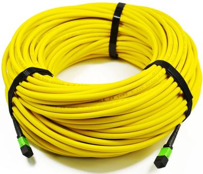 China MPO / APC Fiber Optic Trunk Cable 24 Core 48 Core Sm Ofnp for sale