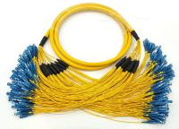 China SC UPC G652D 12 Branches 144 Core Fiber Optic Patch Cords for sale