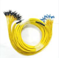 China FC-LC-SM-G652D-24 Core Branch Breakout Fiber Optic Patch Cord 24 Cores for sale