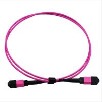 China MPO MPT Multi Mode Fiber Optic Patch Cord 12 Core for sale
