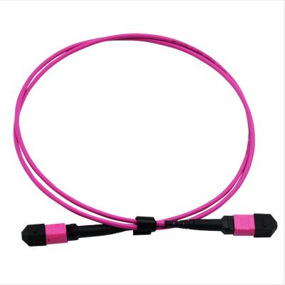 China MPO MPT Multi Mode Fiber Optic Patch Cord 12 Core for sale