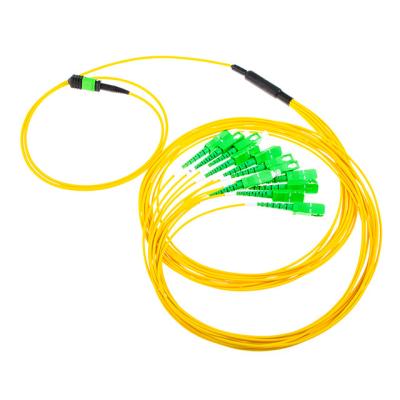China SC APC MTP MPO Fiber Jumper SM 8 12 24 48 Cores Optical LSZH OFNR for sale