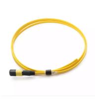 China Singlemode 12 Fiber Fiber Optic Patch Cord MPO/MTP Fiber Optic Pigtail for sale