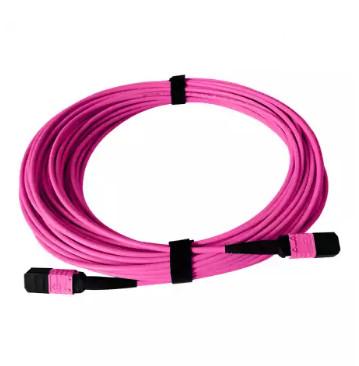 China Low Insert Loss MPO / MTP Fiber Optic Patch Cord for Data Center for sale
