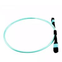China 100M MPO to MPO trunk cable Fiber optic patch cord LSZH 12 core MPO patch cord for sale