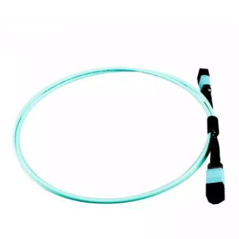 China 100M MPO to MPO trunk cable Fiber optic patch cord LSZH 12 core MPO patch cord for sale