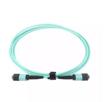 China 12 / 24 Fiber Singlemode Optical Fiber Jumper MTP/MPO Fiber Patch Cable for sale