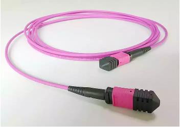 China OM4 MPO MTP Fiber Optic Patch cord 8/12 Fiber Optical Pigtail for sale