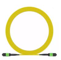 China Factory Mtp-Mpo Fiber Optic Patch Cable Mpo Fiber Optic Patch Cord for sale