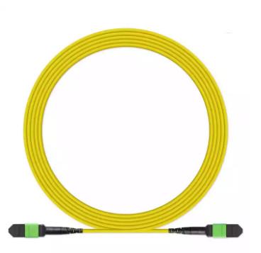 China Factory Mtp-Mpo Fiber Optic Patch Cable Mpo Fiber Optic Patch Cord for sale