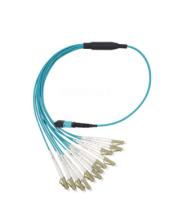 China High  Quality B Type Blue MPO - DX LC 12 Fiber LSZH Fiber Optic Patch Cord for sale