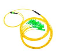 China SM 8 12 24 48 Cores Fiber Optic Patch Cord Manufacturer SC  - MPO Optical Fiber Jumper for sale