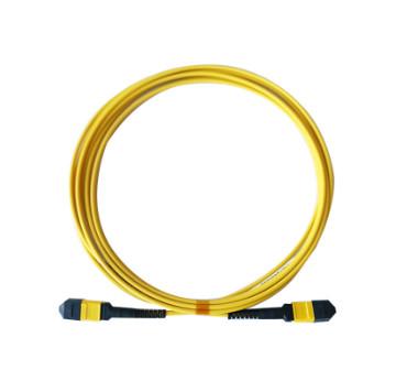 China Optic Jumper MPO MTP Patch Cord 8 16 24 Cord LSZH / PVC for sale