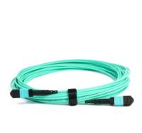 China MPO Patch Cable Data Center 8 / 12 / 24 Core LSZH / PVC / OFNP for sale