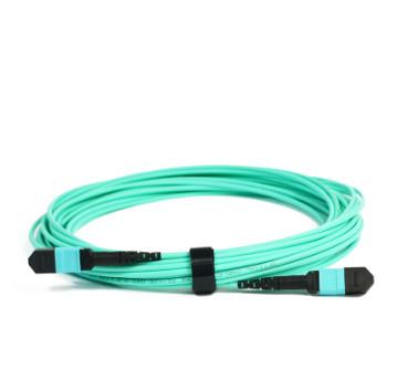 China MPO Patch Cable Data Center 8 / 12 / 24 Core LSZH / PVC / OFNP for sale
