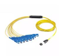 China 12 Core MTP / MPO - SC SM Patch Cord Used Inside Of Module Box for sale