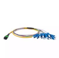 China SM 12 Fiber SC FTTH Fiber Optic Pigtail 3 M MPO / MTP for sale
