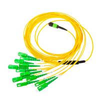 China G657B 12 Core Single Mode SM MPO Breakout Patch Cord for sale