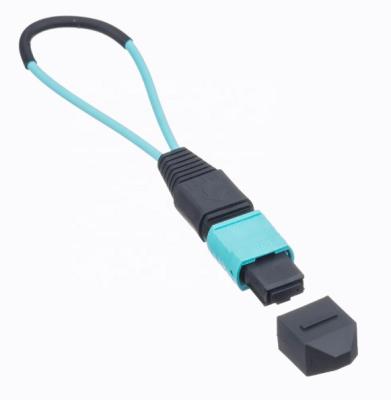 China 0.3m 12 Core SM MM Female Male MPO MTP Loopback for sale
