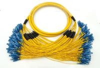 China SC UPC G652D 12 Branches 144 Core Fiber Optic Patch Cords for sale