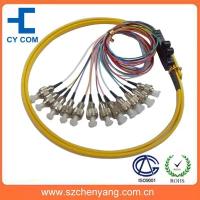 China FC/SC/ST 12 Core Ribbon Packing Fiber Optic Pigtail for sale