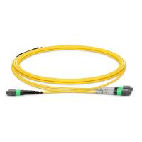 China MTP Breakout Cable with 0.35dB Low IL and 8° APC Endface for OFNP Fire Safety-Rated Data Center Links for sale