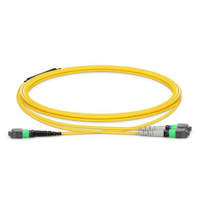 China MTP Breakout Cable with 0.35dB Low IL and 8° APC Endface for OFNP Fire Safety-Rated Data Center Links for sale