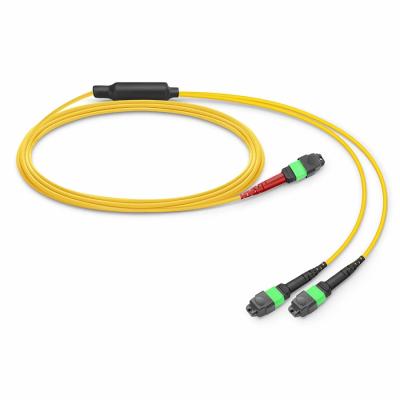 China MTP Breakout Cable with 0.35dB Low IL and G.657.A1 Bend Insensitive Fiber for OFNP Fire Safety-Rated Applications for sale