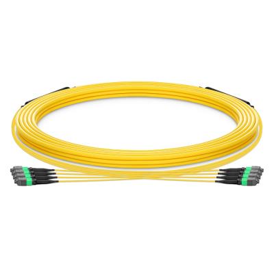 China MTP Trunk Cable with 0.35dB Low IL OFNP Fire Safety-Rated and G.657.A1 Bend Insensitive Fiber for High-Density Cabling for sale