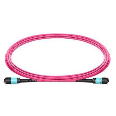 China 3.0mm / 3.6mm Diameter OM4 12 Cores Mpo Patch Cord for sale