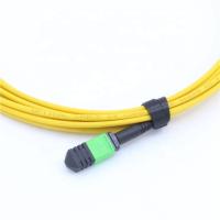 China Fiber Optic Patch Cord MPO / MTP Connector 48 Fiber SM Type for sale