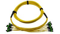 China SM MTP MPO 40G / 100G Fiber Optical Patch Cord 72 / 144 Core 30M for sale