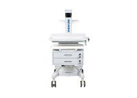 China Plastic Adjustable Medical Trolleys For Doctor Ward Inspection for sale