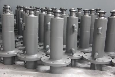 China Custom Hydraulic Cylinder for Excavator Lift Agriculture Machinery 20-500mm Bore 3000mm Stroke for sale