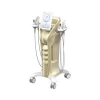 China World First SD Focused Ultrasound Skin Lifting Technolgy(Synergy Dotting) 4 Types：Face- 3 Types、Body- 1 Type HIFU for sale
