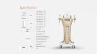 China Focused Ultrasound Beauty Salon Machine 2MHz RF For Skin Lifting for sale