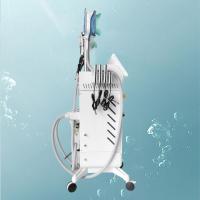 China 1000W Cryolipolysis Fat Freezing Machine For Weight Loss Promote Metabolism for sale