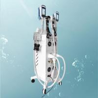 China 1000W Cryolipolysis Fat Freezing Machine For Weight Loss Promote Metabolism for sale
