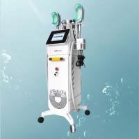 China 1000W Cryolipolysis Fat Freezing Machine For Weight Loss Promote Metabolism for sale
