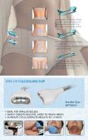 China Intelligent Cryo 360 Machine , Cryolipolysis Vacuum Machine For Slimming Weight Loss for sale