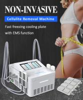 China EMS Electric Muscle Stimulation Weight Loss Machine 360 Degree Frozen For Slimming for sale