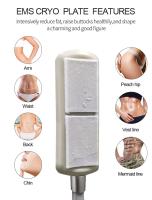 China EMS Electric Muscle Stimulation Weight Loss Machine 360 Degree Frozen For Slimming for sale